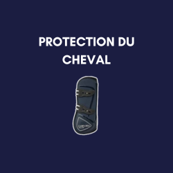 Protection du cheval